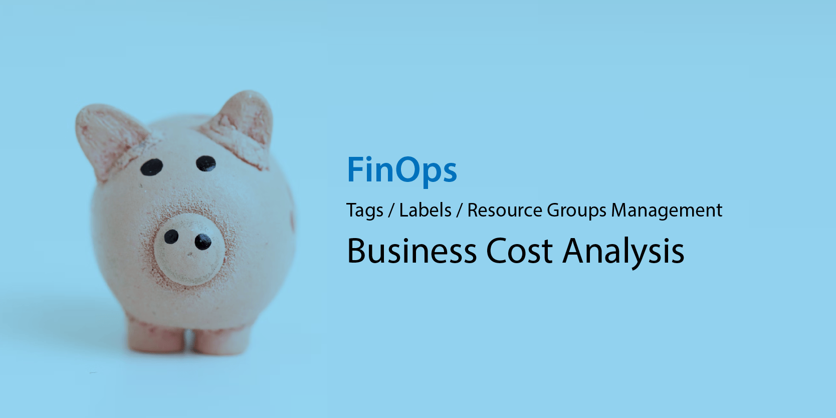 FinOps - Tags / Labels / Resource Groups Management - B usiness Cost ...